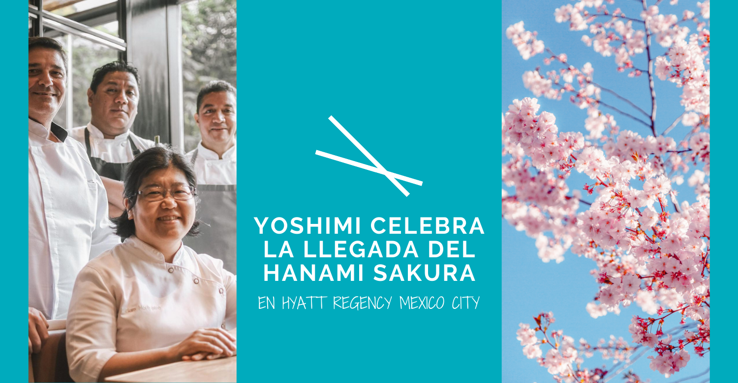 Yoshimi celebra la llegada del Hanami Sakura - Vida y Estilo